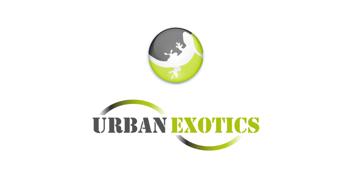 Tortoises and Turtles for Sale | UK Delivery | Urban Exotics
